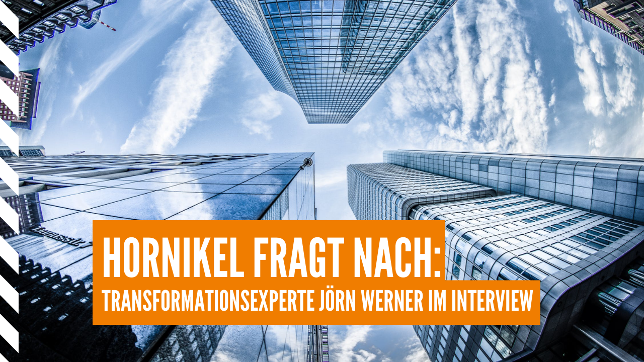 Transformationsexperte Jörn Werner im Interview | Kloepfel Magazin
